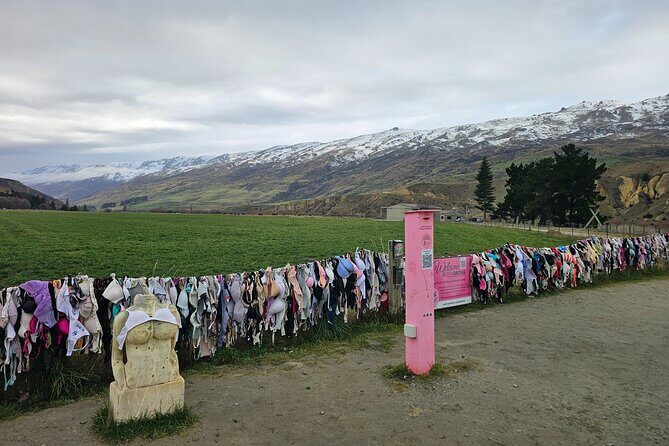 Wanaka Private Day Trip from Queenstown: TravelnGo - What Makes This Tour Stand Out?