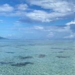 Want to escape? Treat yourself to a snorkeling session in Tahiti! - Practical Details: What to Know