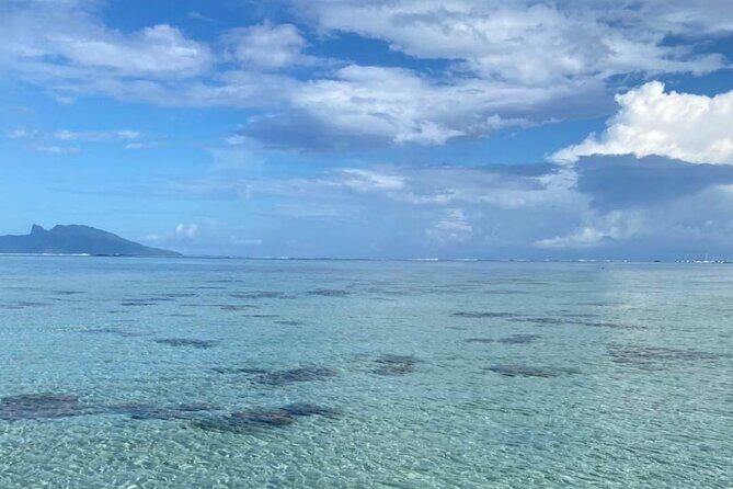 Want to escape? Treat yourself to a snorkeling session in Tahiti! - Practical Details: What to Know