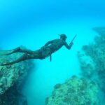Warkworth: SSI Basic Freediving Course - The Location and Meeting Details