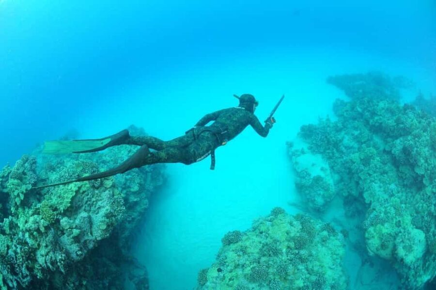 Warkworth: SSI Basic Freediving Course - The Location and Meeting Details