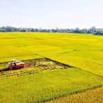 Warriors Legacy and Rivers Harmony: Cu Chi & Mekong 1 Day - Practical Details: What’s Included and How the Day Flows