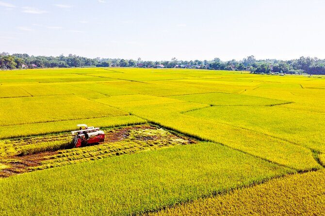 Warriors Legacy and Rivers Harmony: Cu Chi & Mekong 1 Day - Practical Details: What’s Included and How the Day Flows
