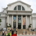 Washington D.C. Natural History Museum Family Scavenger Hunt - Authentic Insights from Past Participants