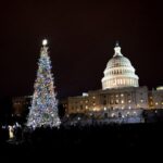 Washington, DC: National Mall and Memorials Moonlight Tour - Who Should Consider This Tour?