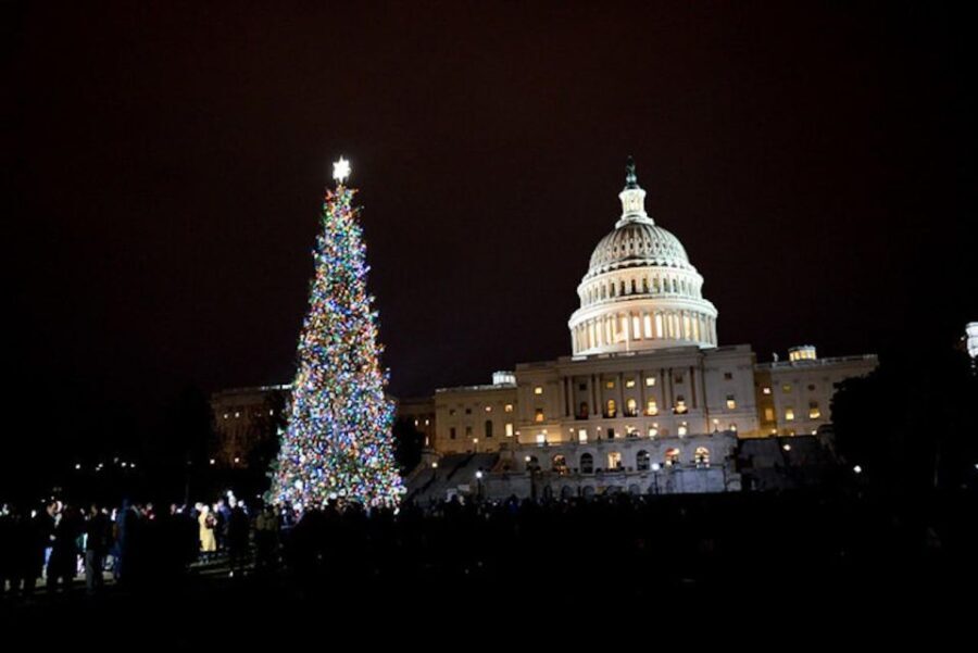 Washington, DC: National Mall and Memorials Moonlight Tour - Who Should Consider This Tour?
