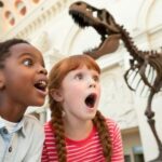 Washington DC Smithsonian Natural History Private Tour - What to Expect During Your Tour