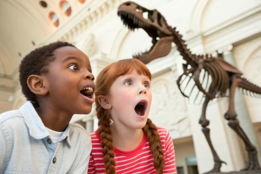 Washington DC Smithsonian Natural History Private Tour - What to Expect During Your Tour