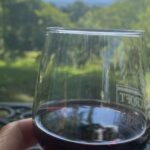 Washington, DC: Virginia Wine Region Experience Tour - The Charm of Virginia Wineries