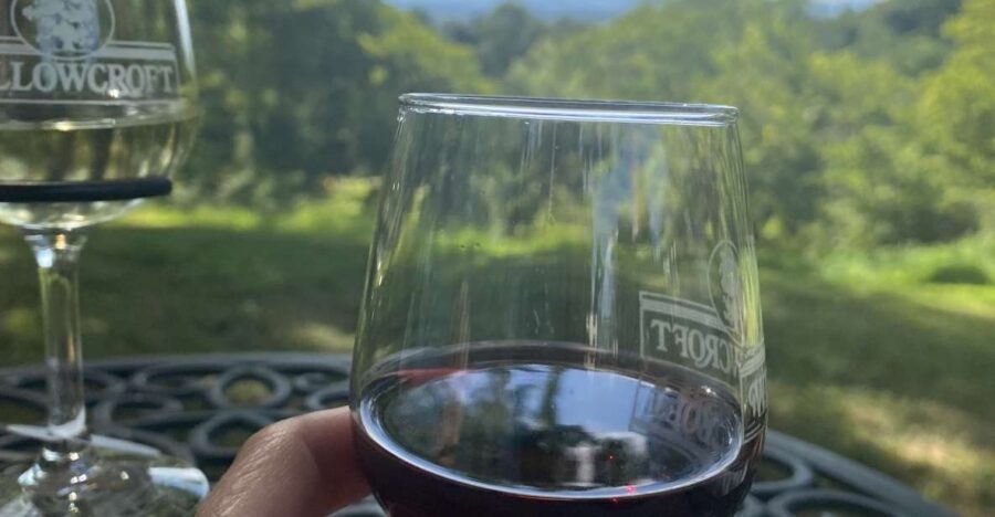 Washington, DC: Virginia Wine Region Experience Tour - The Charm of Virginia Wineries