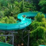 Waterbom Bali Tickets  Single Day Pass - What to Expect at Waterbom Bali: Rides, Relaxation, and Environment