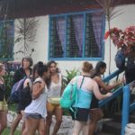 Waterfall and Fijian Village Tour with Light Lunch ex Nadi Area Hotels - Who Should Consider This Tour?
