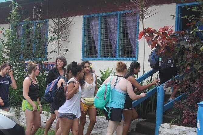 Waterfall and Fijian Village Tour with Light Lunch ex Nadi Area Hotels - Who Should Consider This Tour?