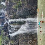 Waterfalls and Bushwalk Eco Adventure - The Real Value of a Guided Nature Walk