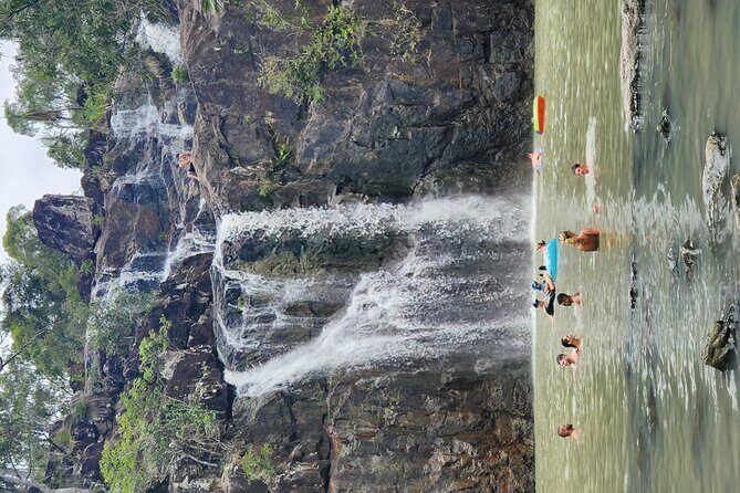 Waterfalls and Bushwalk Eco Adventure - The Real Value of a Guided Nature Walk