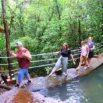 Waterfalls and Nature Tour - Who Would Love This Tour?