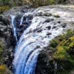 Waterfalls, Coombs and Cathedral Grove Rainforest Tour - Detailed Breakdown of the Itinerary