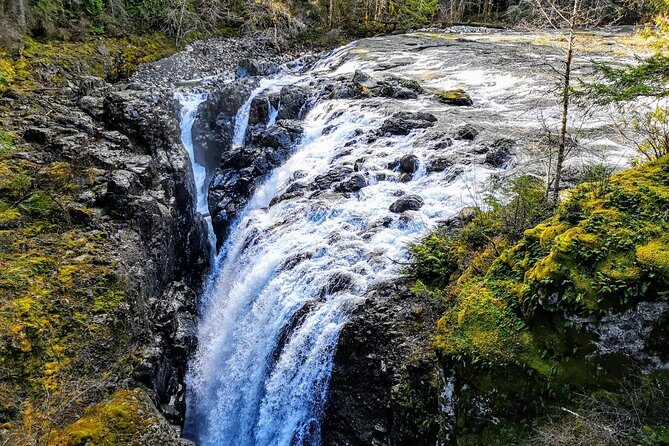 Waterfalls, Coombs and Cathedral Grove Rainforest Tour - Detailed Breakdown of the Itinerary