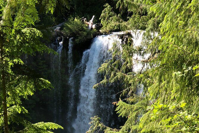 Waterfalls & the McKenzie River in a Tesla - Who Will Love This Tour?
