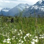 Waterton Lakes National Park Off The Beaten Path - Who Would Love This Tour?
