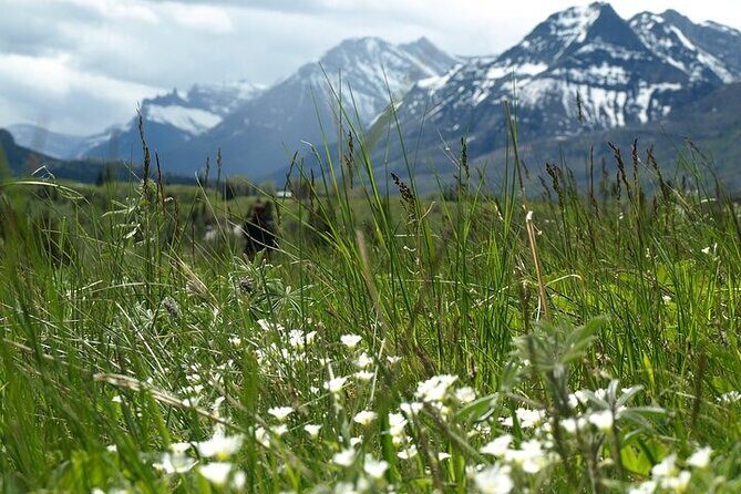 Waterton Lakes National Park Off The Beaten Path - Who Would Love This Tour?