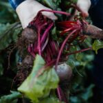 Watervale: Penobscot Farm Tour with Chef and 5-Course Lunch - Who Should Consider This Tour?