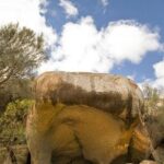 Wave Rock, York, Wildflowers, and Aboriginal Cultural Day Tour from Perth - What are the Key Highlights?