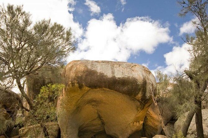 Wave Rock, York, Wildflowers, and Aboriginal Cultural Day Tour from Perth - What are the Key Highlights?