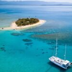 Wavedancer Low Isles Great Barrier Reef Sailing Cruise from Palm Cove - What the Reviews Say About the Experience