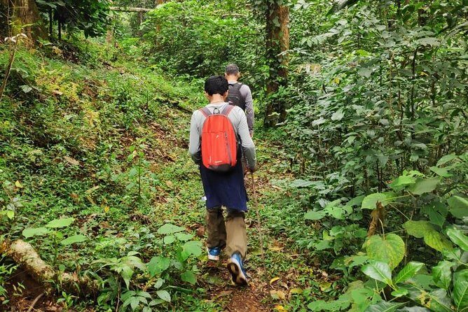 Wayanad Walking Holiday - Key Points