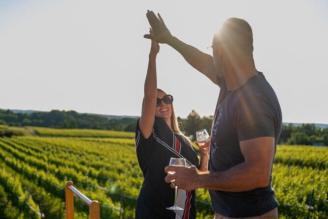 Wedding Anniversary Traverse City Old Mission Peninsula Wine Tour - The Pros and Cons
