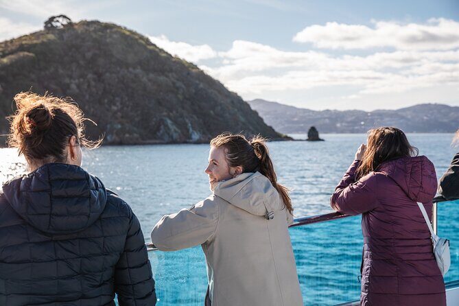 Wellington 90 minute Harbour Cruise - Who Will Love This Experience?