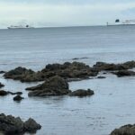 Wellington city heights shared sightseeing tour - Transport and Group Size: Intimate but Practical