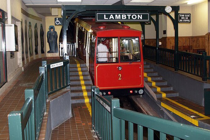 Wellington city heights sightseeing Private 5 hour tour - What We Loved and Why It Matters