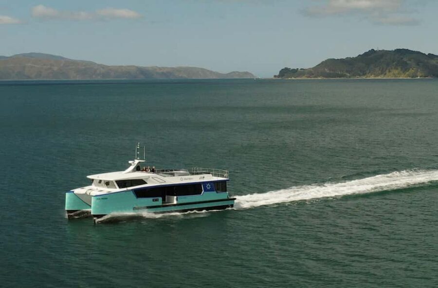 Wellington: Commentated Harbour Explorer tour - What to Expect on the Tour