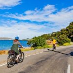 Wellington Electric Bike Rental - The Bikes: Easy, Efficient, and Ready to Roll