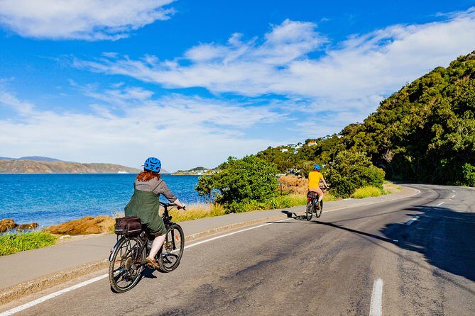 Wellington Electric Bike Rental - The Bikes: Easy, Efficient, and Ready to Roll