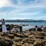 Wellington: Guided City Tour with Cable Car Ticket - Exploring Wellingtons Top Sights and Hidden Gems