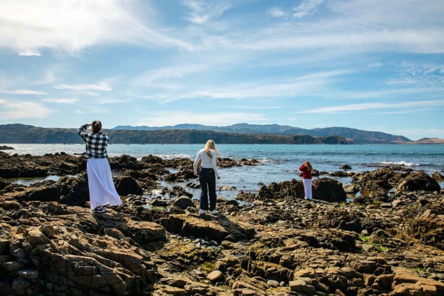 Wellington: Guided City Tour with Cable Car Ticket - Exploring Wellingtons Top Sights and Hidden Gems