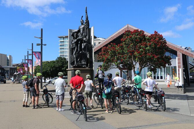 Wellington Guided eBike Tour-Cruise Shore Excursion - The Practicalities: What You Should Know