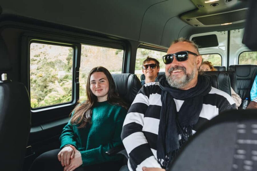 Wellington: Half Day Seal Coast Safari - The Practicalities