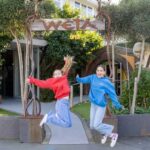 Wellington: Highlights Tour with a Local Guide - Authentic Insights Based on Feedback