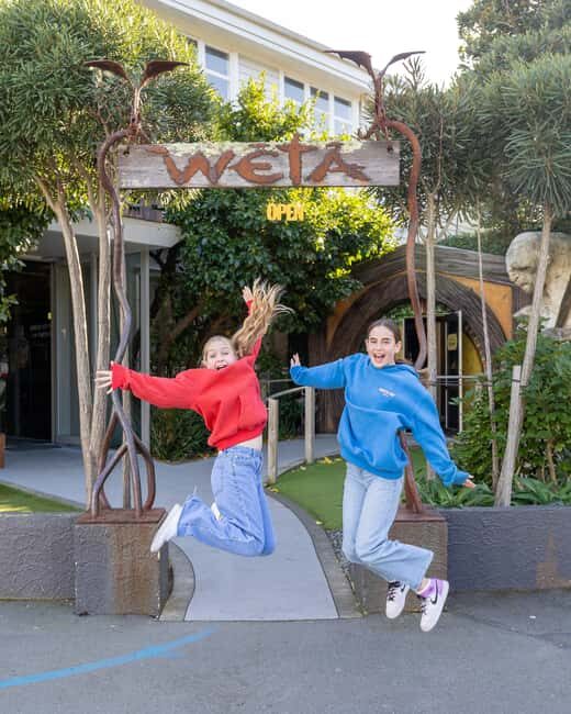 Wellington: Highlights Tour with a Local Guide - Authentic Insights Based on Feedback