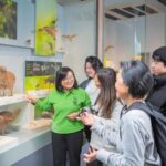 Wellington: Museum of NZ Guided Tour & General Admission - Final Thoughts: Is This Tour for You?