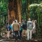 Wellington: Original LOTR Full-Day Tour with Weta & Lunch - The Itinerary in Detail