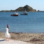 Wellington Scenic Full Day Tour - Who Is This Tour Best For?