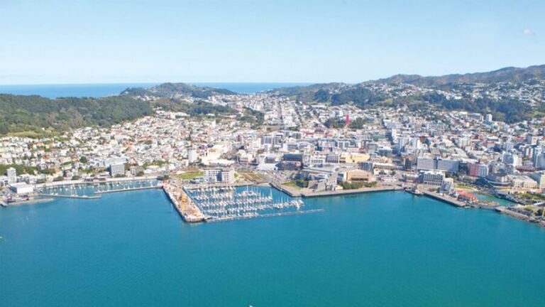 Wellington: Scenic South Coast Discovery Helicopter Flight - Detailed Breakdown of the Flight Itinerary