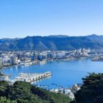 Wellington Shore Excursion: From Cave to Coast Highlights Private Tour - Who Will Enjoy This Tour?