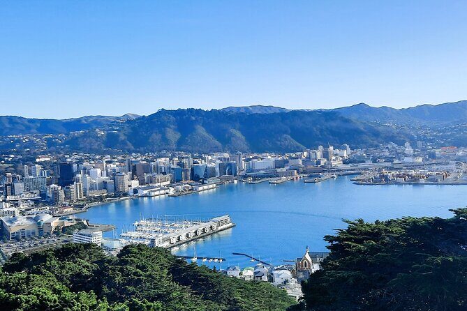 Wellington Shore Excursion: From Cave to Coast Highlights Private Tour - Who Will Enjoy This Tour?
