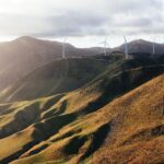 Wellington South Coast Discovery Helicopter Flight - Authentic Experiences Asserted by Travelers